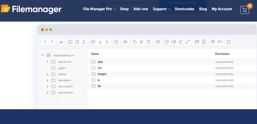 Tải Plugin WP File Manager Pro - Quản lý file chuyên nghiệp